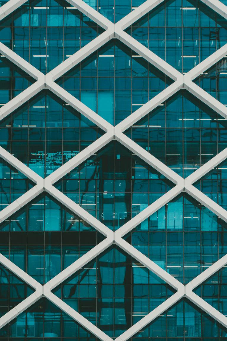 The Voluntary Disclosure Program ("VDP")